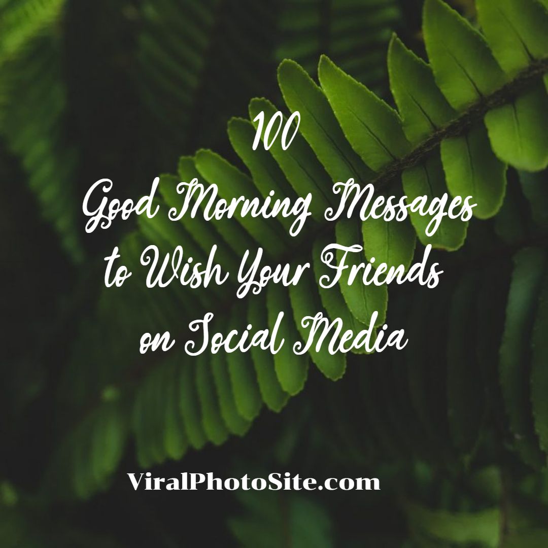 100 Good Morning Messages to Wish Your Friends on Social Media – Viral ...